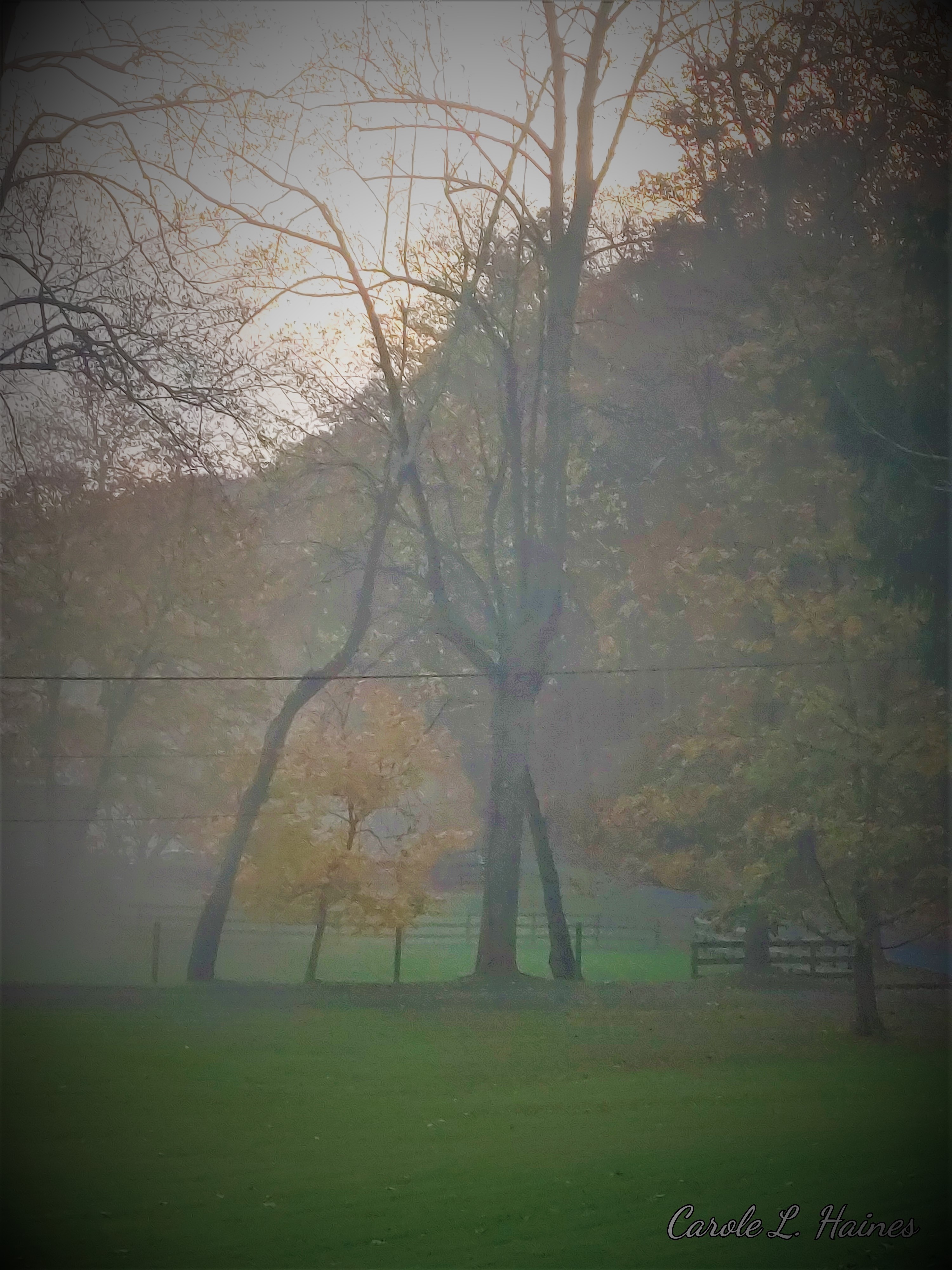 When the future is obscured